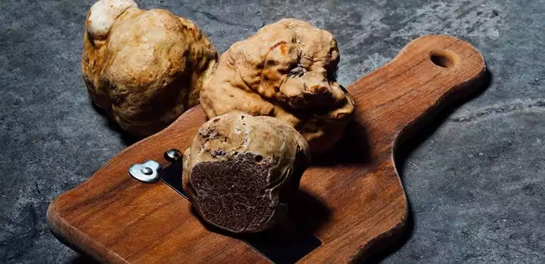 Oeni - Wine cellar management app and personal sommelier