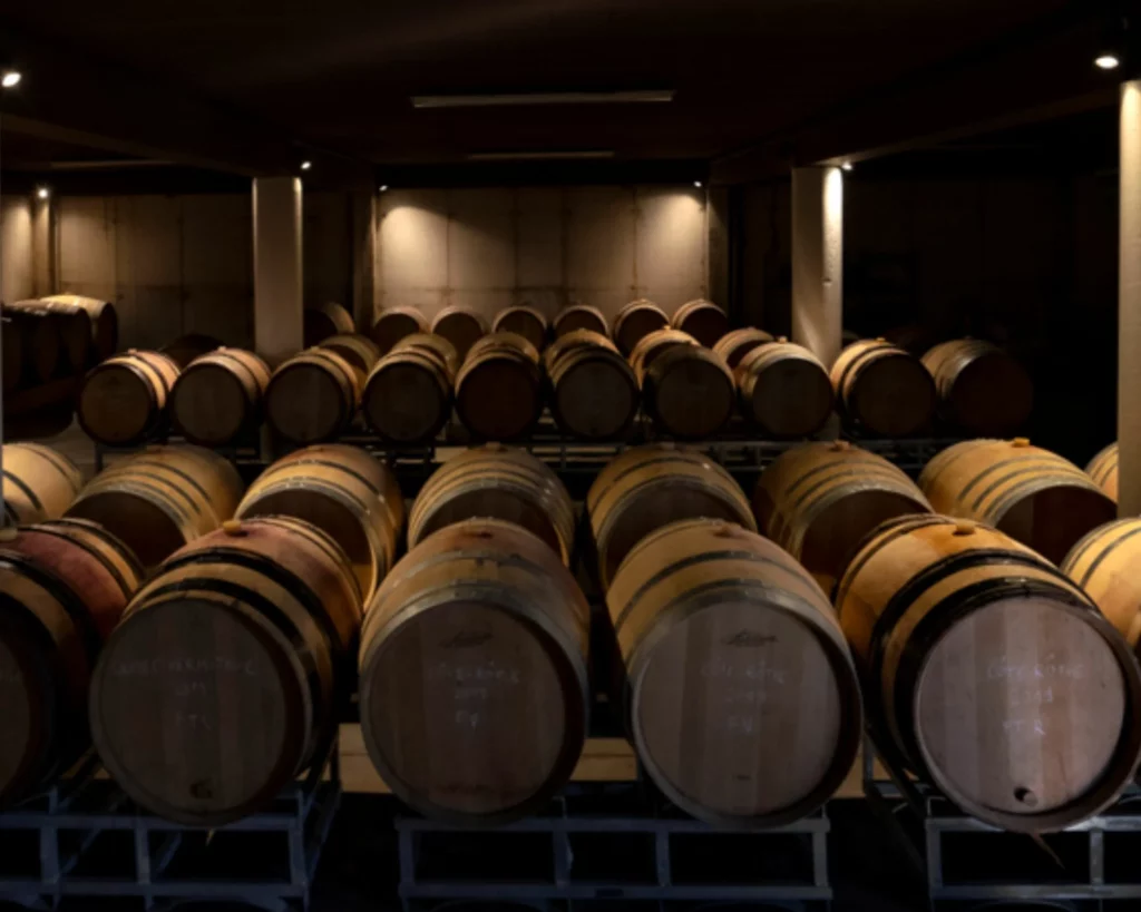 Impact des barriques neuves sur les tanins et arômes du vin