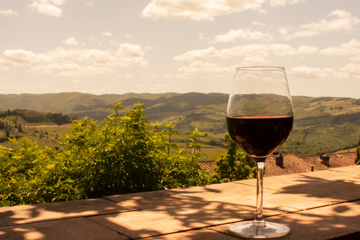 Learning about wine: a guide to getting started with wine tasting